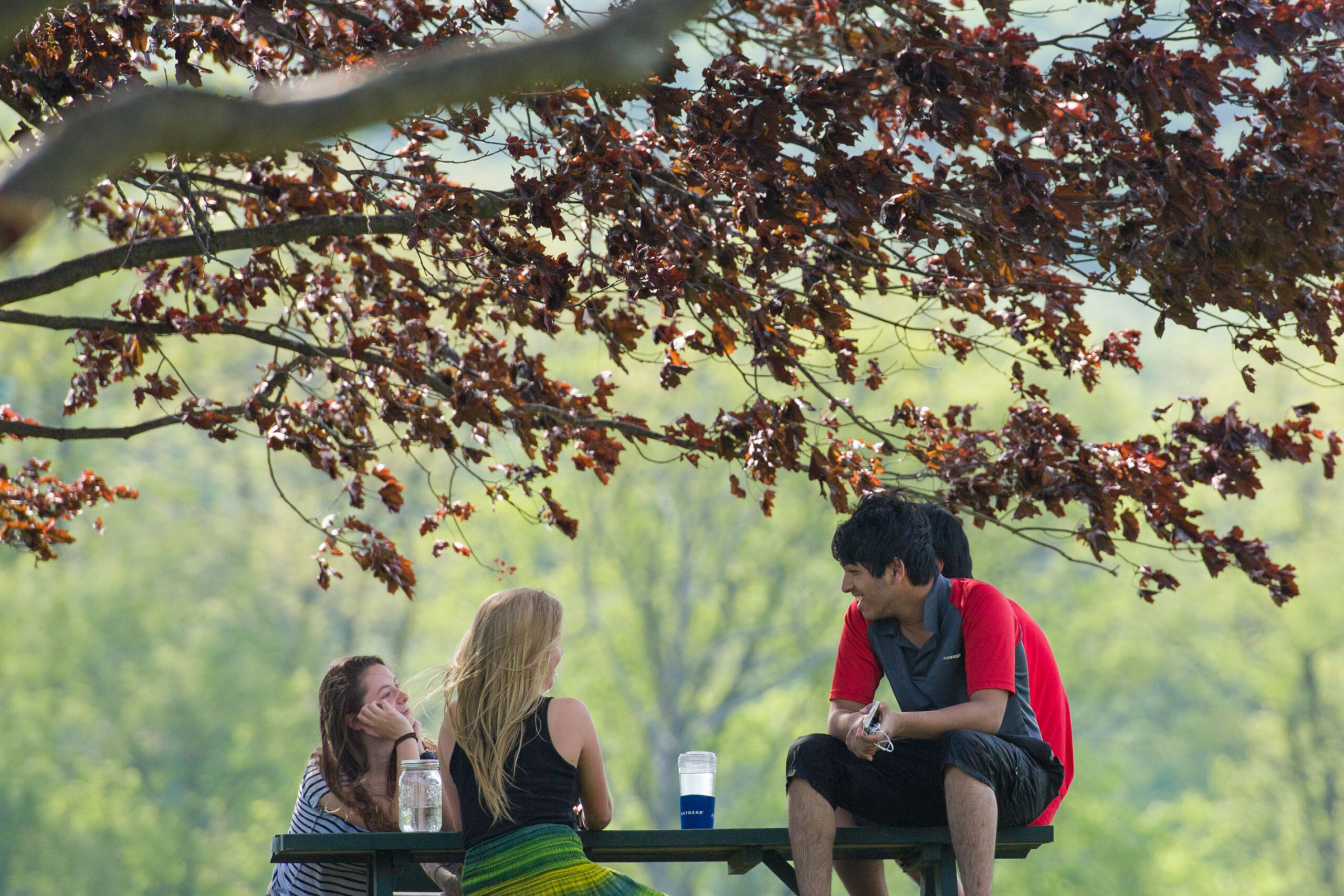 The Long-term Impact of Progressive Education - The Putney School