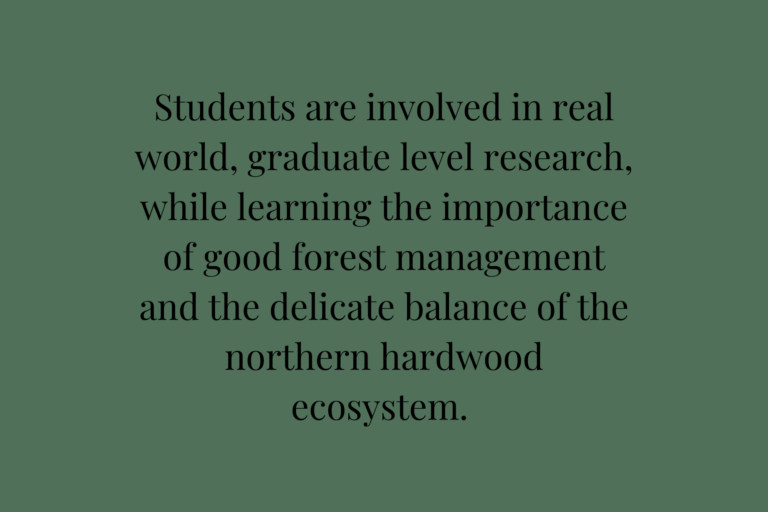 Bringing Chestnut Trees Back to Putney - The Putney School