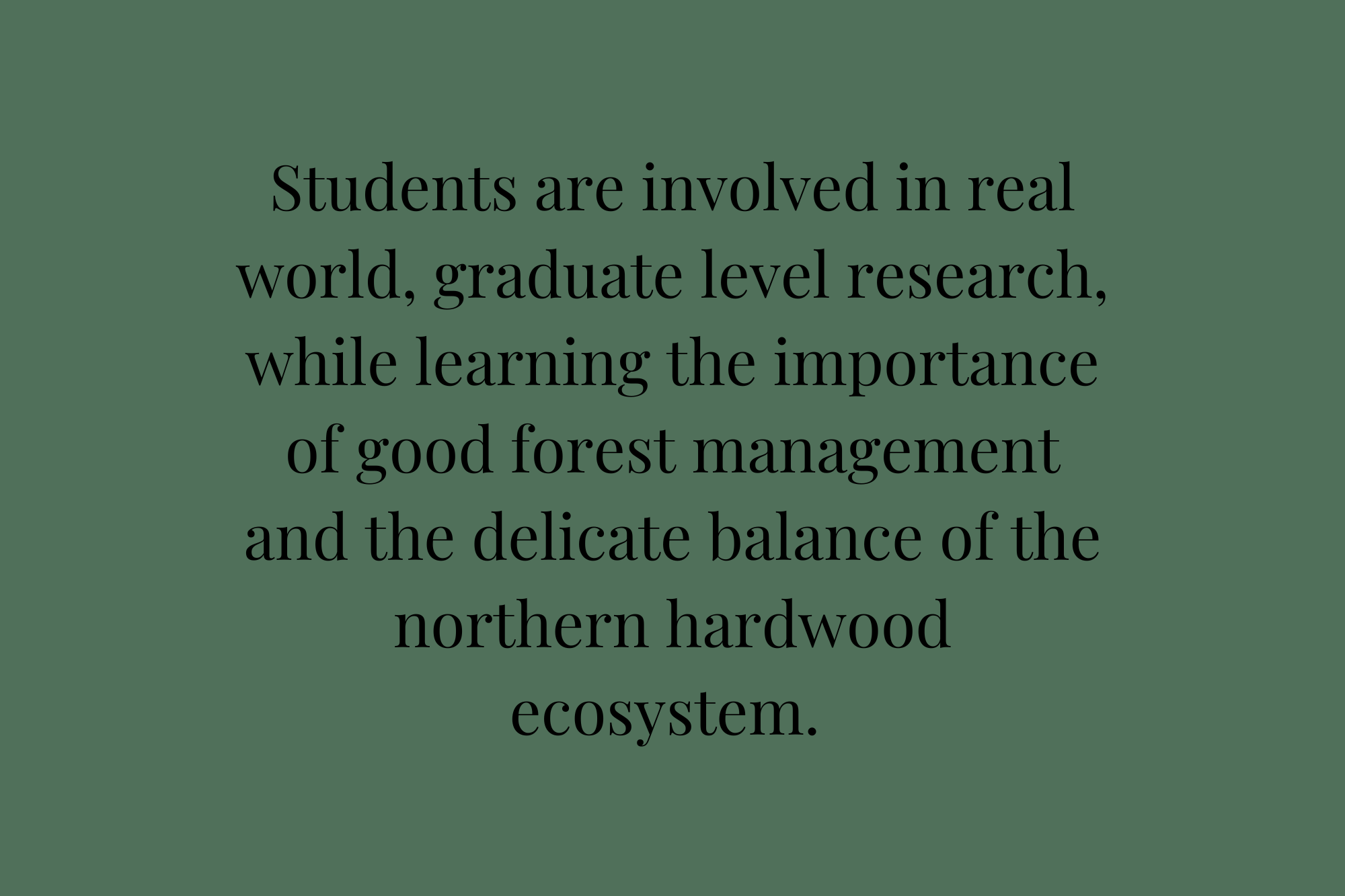 Bringing Chestnut Trees Back to Putney - The Putney School