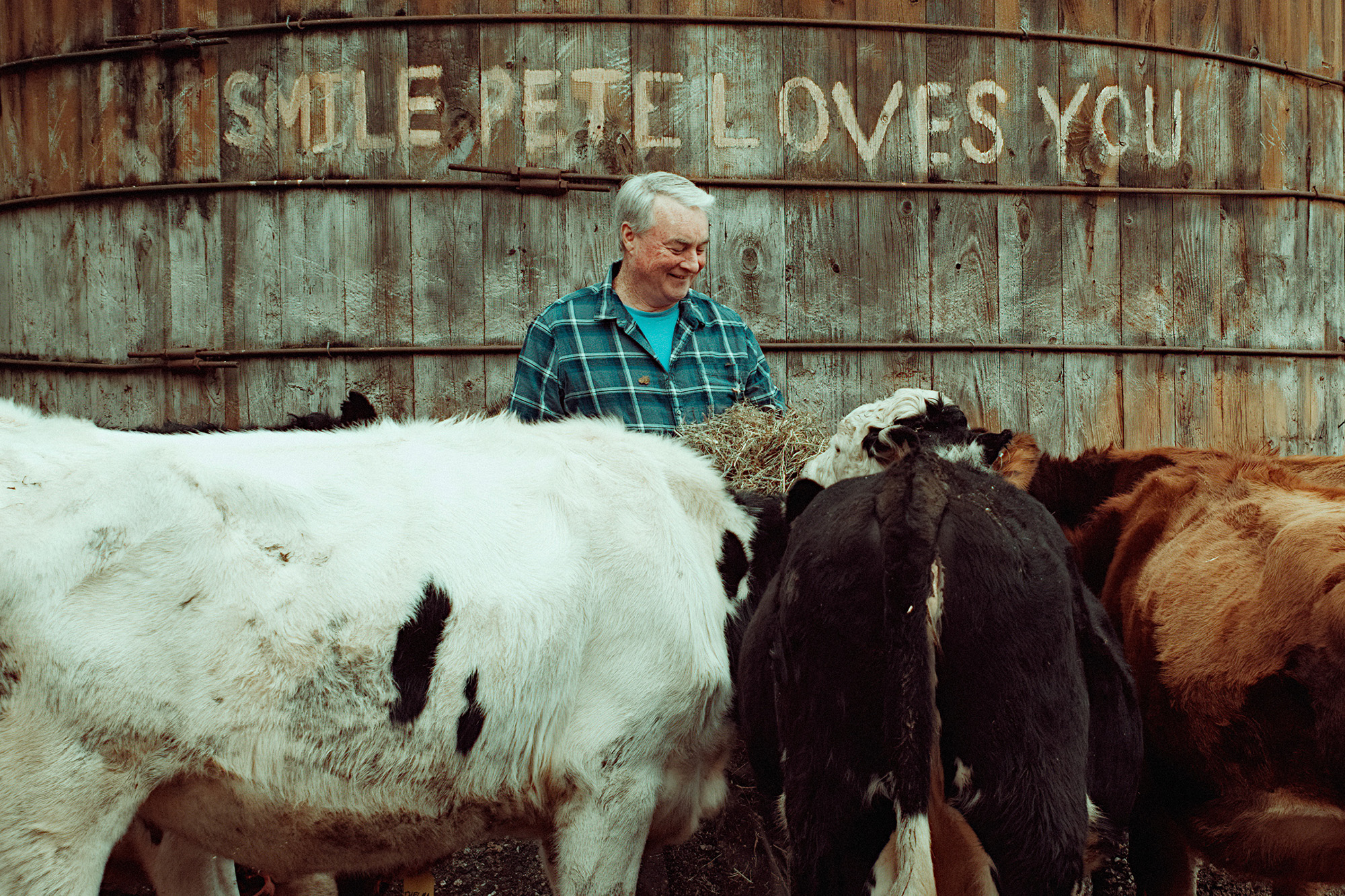 Dairy Man: Pete Stickney Bids Farewell After 27 Years on the Farm - The ...